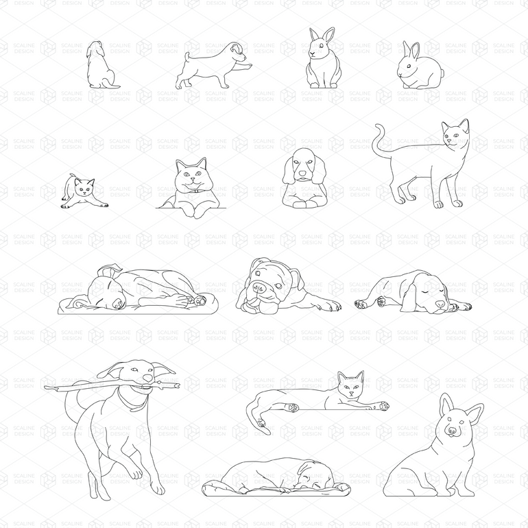 Cad & Vector Pets – Domestic Animals (Elevation) – Learn Architecture ...