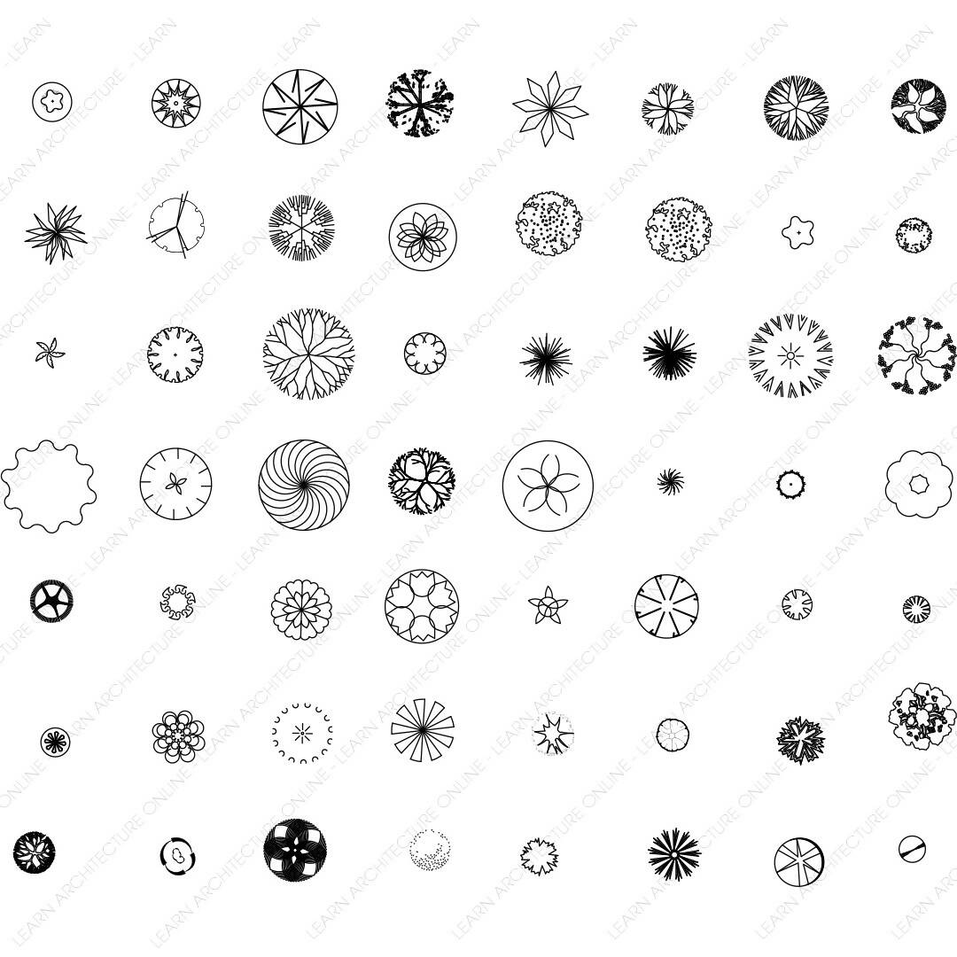 CAD Top Tree View | Learn Architecture Online