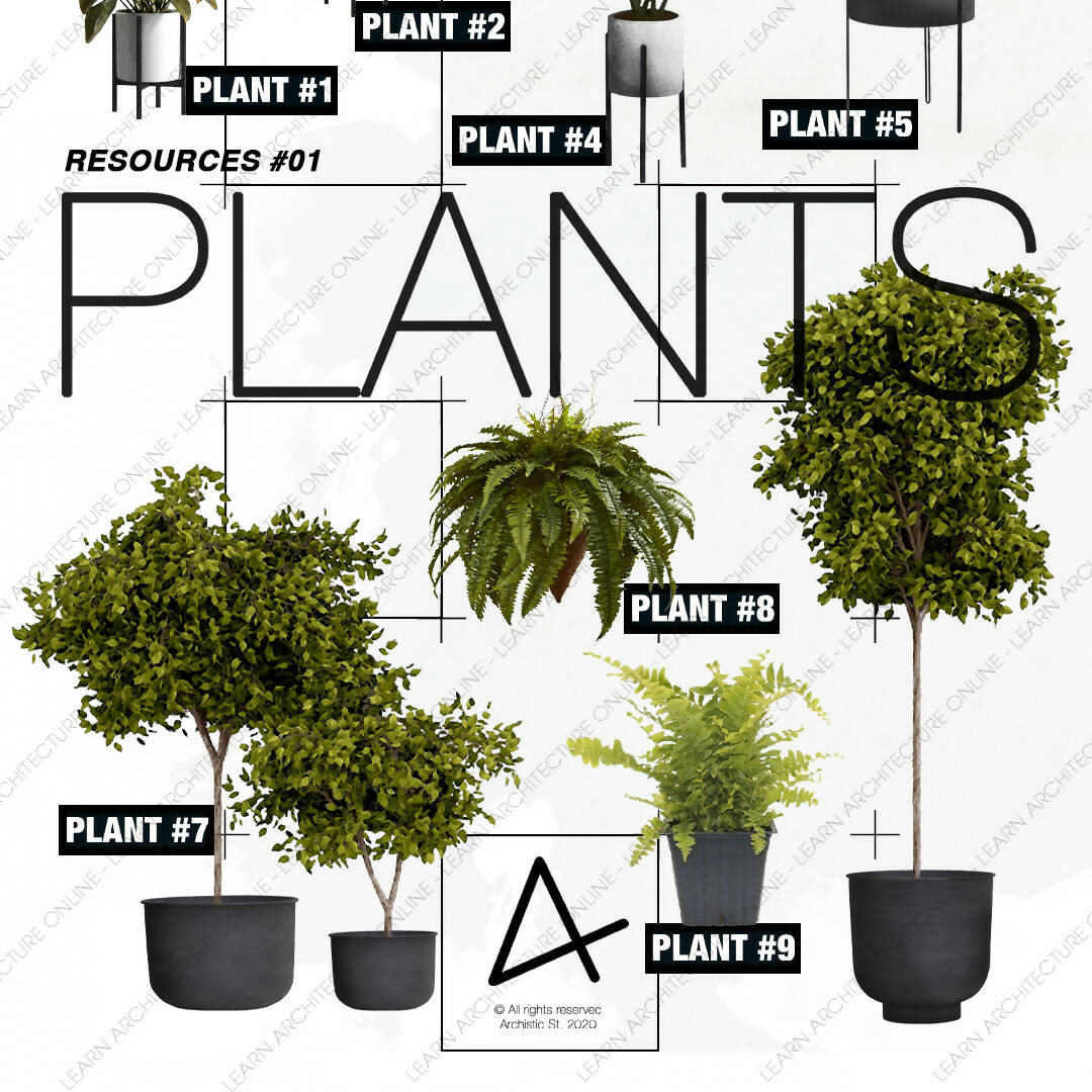 9 Plant Elevation Cutouts | Learn Architecture Online