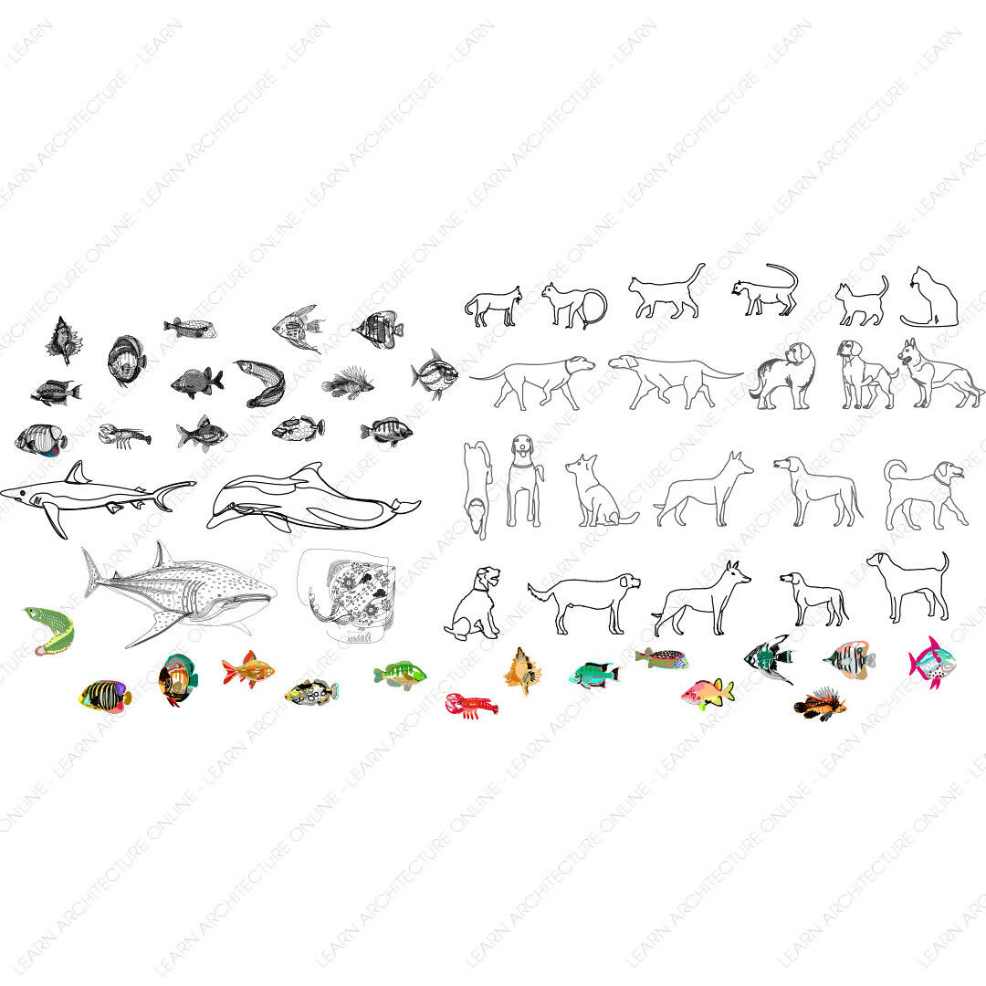 CAD Sea Animals | Learn Architecture Online
