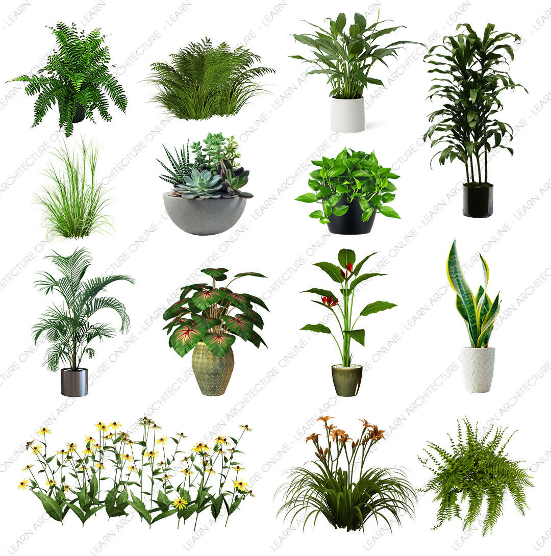 29 Vegetation Cutouts | Learn Architecture Online