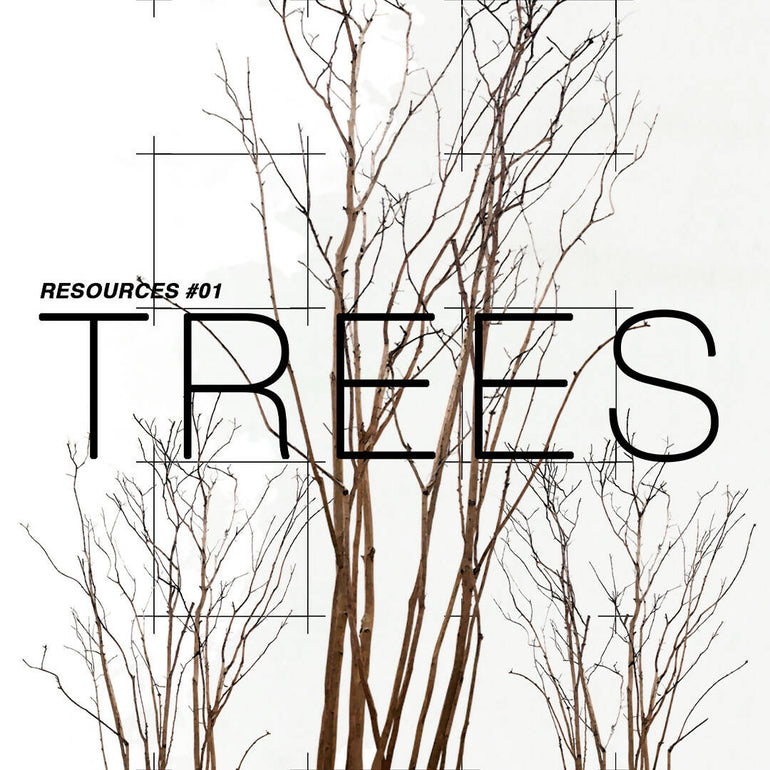 Tree Cutouts – Learn Architecture Online