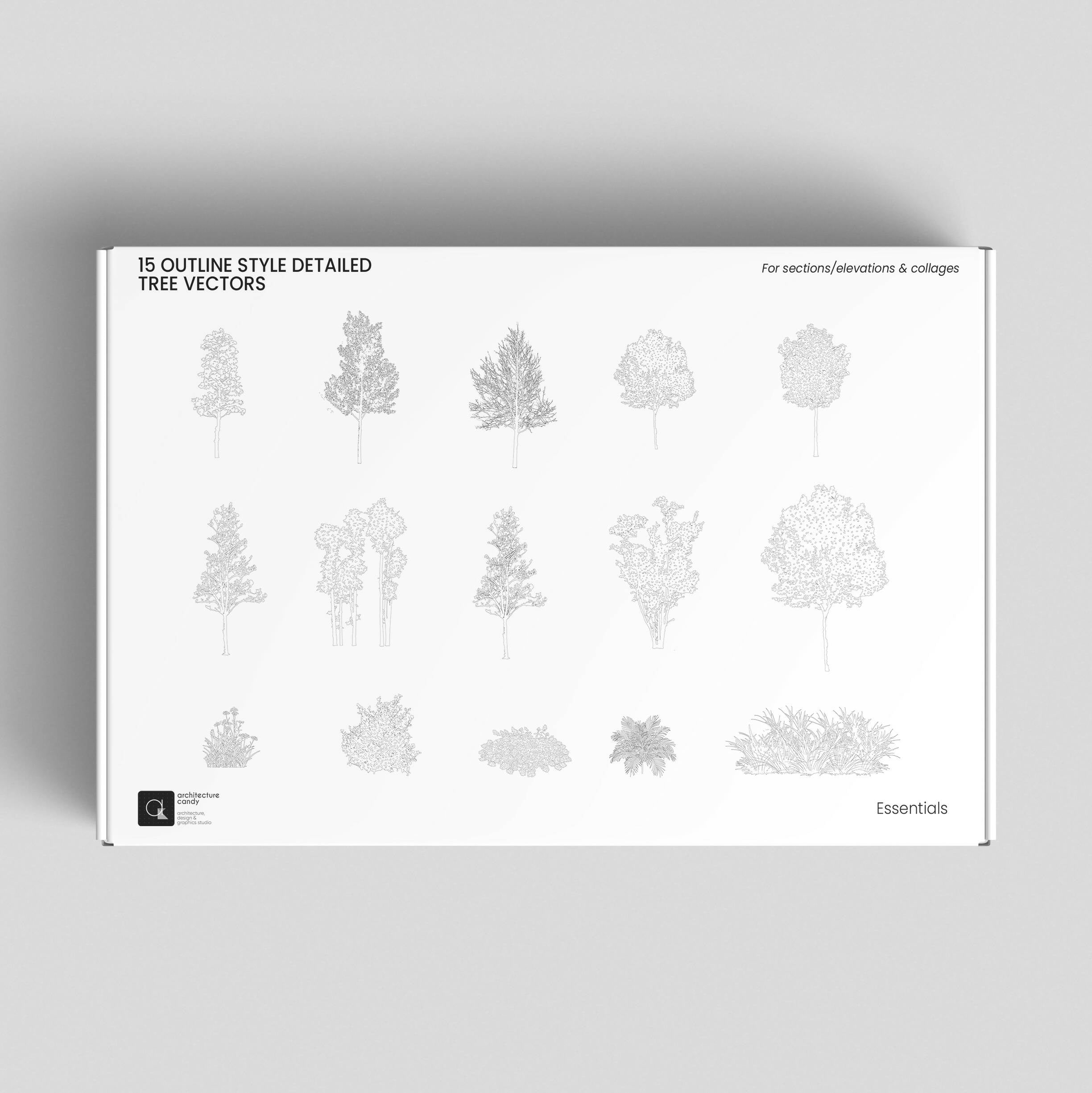 15 Outline Style Tree Vector – Learn Architecture Online